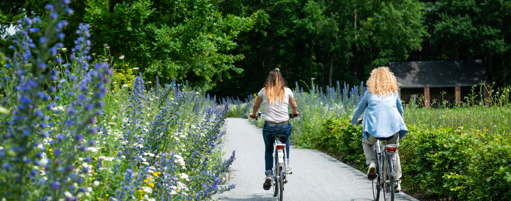 Themaroutes fietsen | Kempen