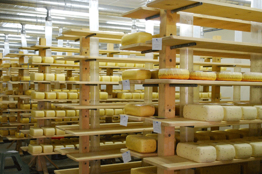 Abdij van Postel | Kempen