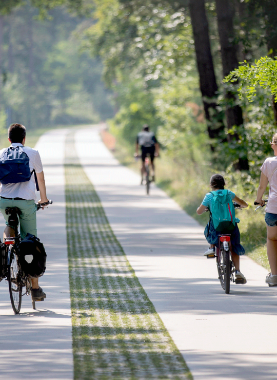 Op fietsvakantie in de Kempen | Kempen